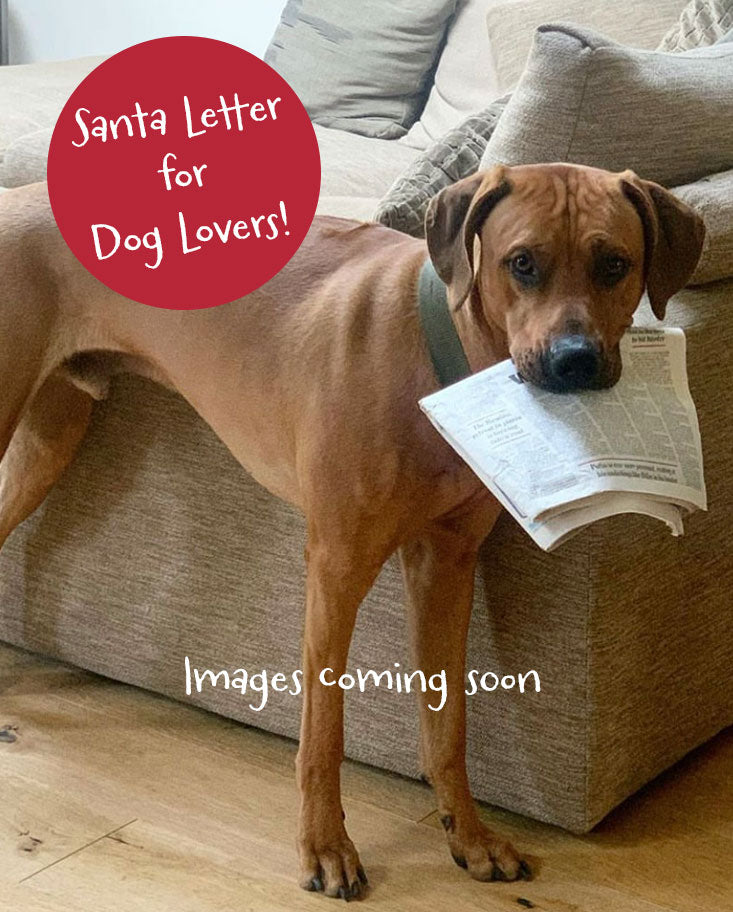 Personalised Letter from Santa - Dog Edition – Elf For Christmas